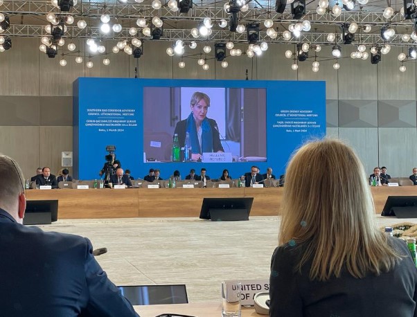 Αλ. Σδούκου: Στηρίζουμε την αύξηση της δυναμικότητας των αγωγών TAP και ...